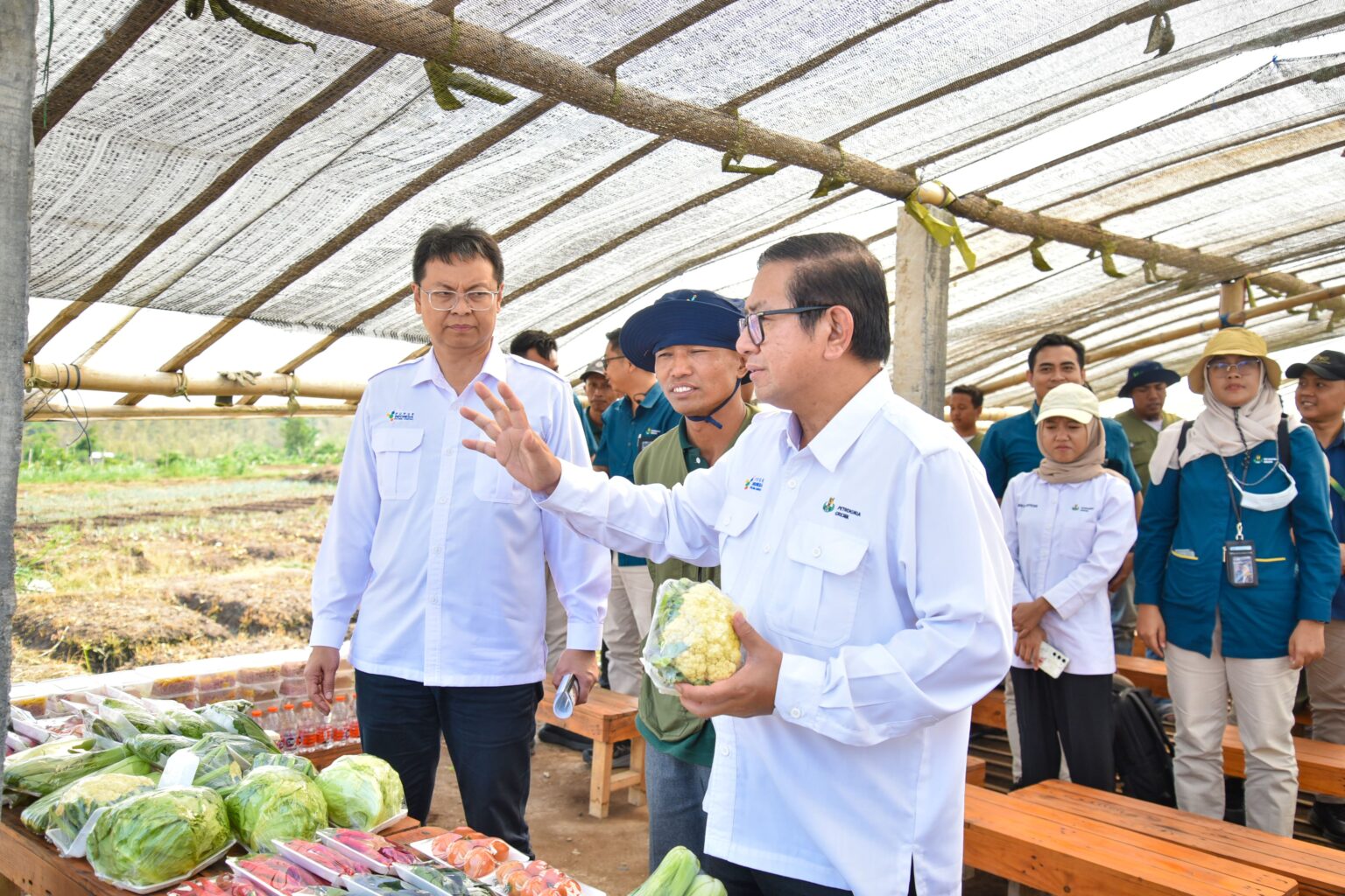 Petrokimia Ubah Pusat Hortikultura Desa Tawangargo Jadi Contoh Masa Depan Pertanian ...